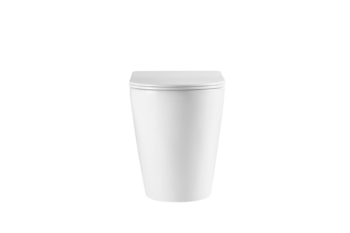 Agena Tonardo Rimless Wall faced Floor Pan LK-AT104WFP – LUKKA BATHWARE